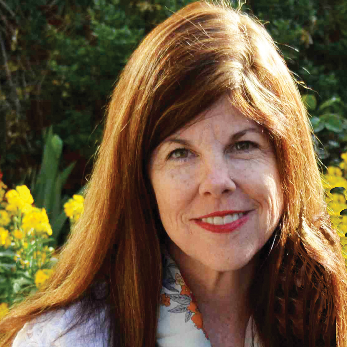 Blog Tour: Don’t Check Out This Book! by Kate Klise and M. Sarah Klise ...